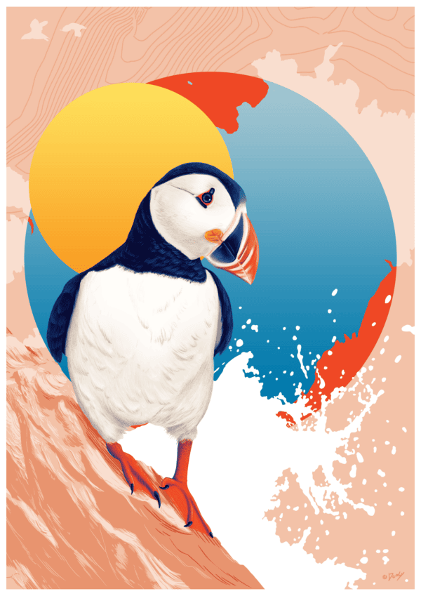 Puffin - Historiart